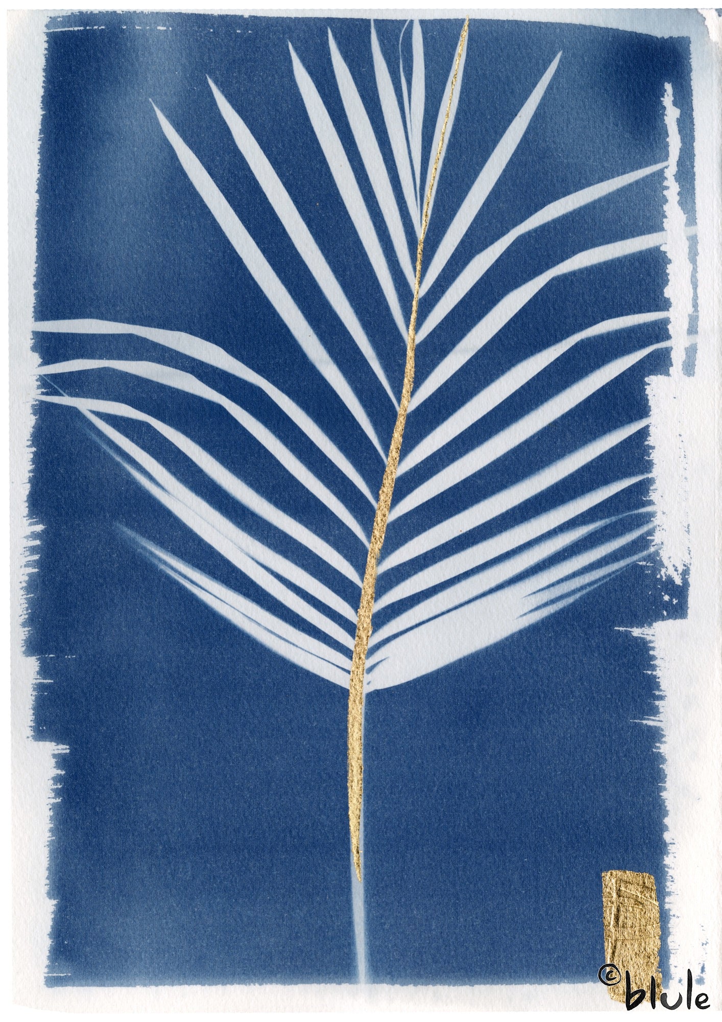 Botanical Series made with Cyanotype technique – Blule, The Boutique
